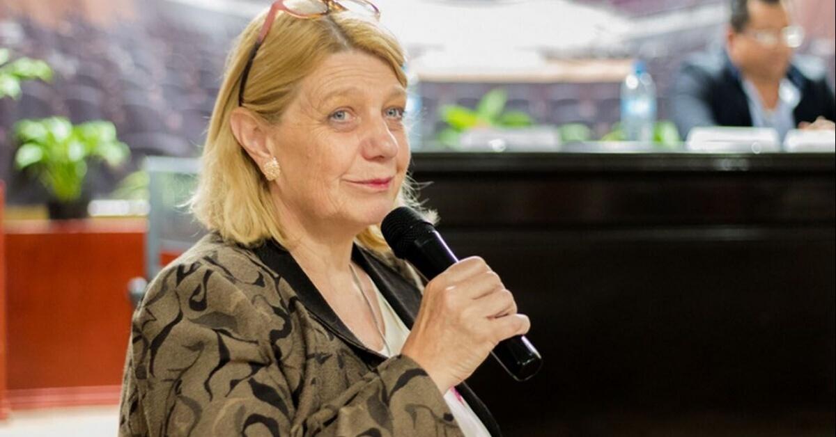 Chinda Brandolino: “Sarmiento no es el gran héroe que nos han vendido ...