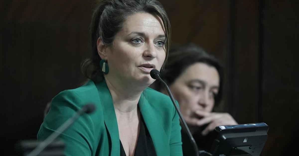 Nerina Neumann Losada: "La boleta única es una oportunidad para ...